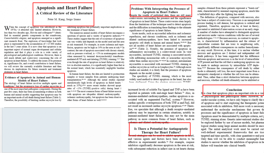10 Easy Steps How To Write A Literature Review Of A Journal Article
